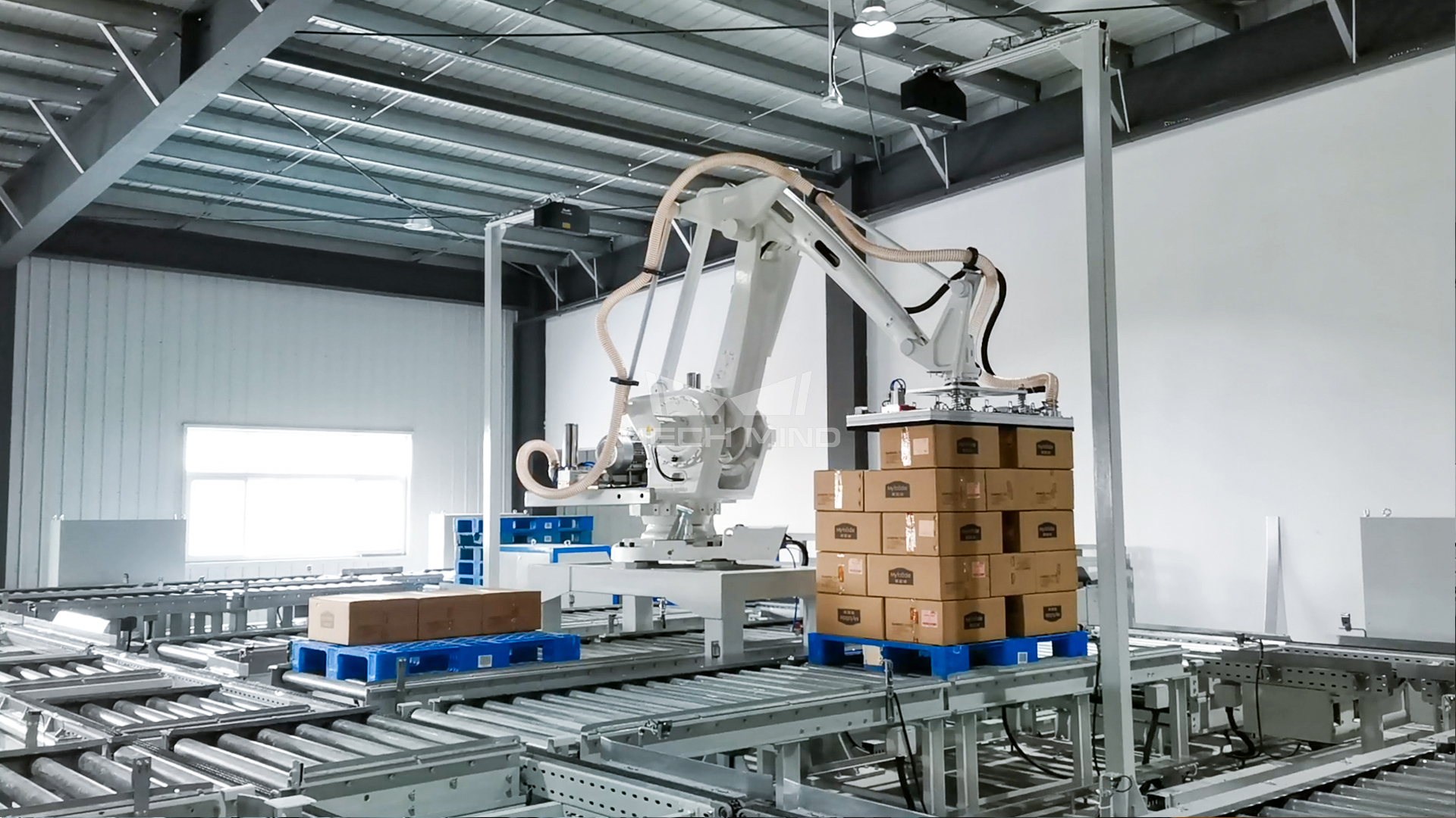 depalletizing (multi-pick) – SNS INDUSTRIAL GROUP